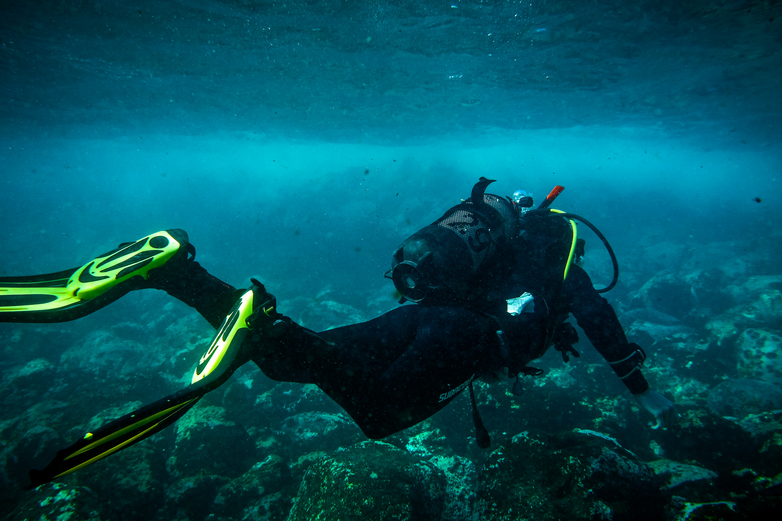 Montaña Amarilla Dive Site Tenerife · Sine Termino - World Travel Photo ...